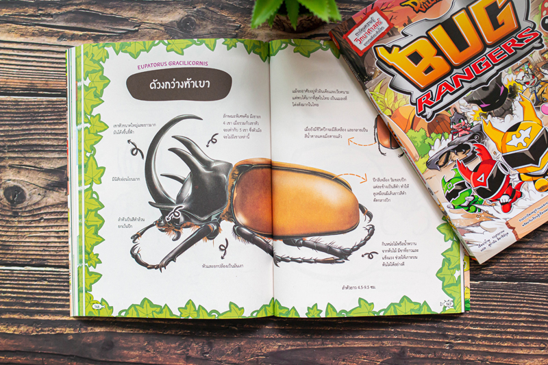 Dragon Village Bug Rangers เล่ม 1 -- SERAZU ร้านหนังสือออนไลน์