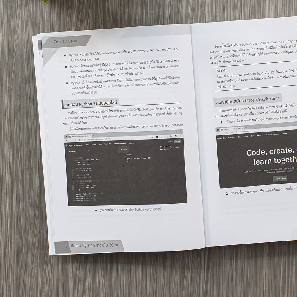 มือใหม่ Python เก่งได้ใน 30 วัน -- Think Beyond Book ร้านหนังสือออนไลน์