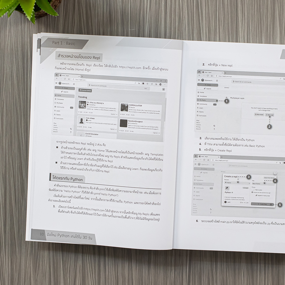 มือใหม่ Python เก่งได้ใน 30 วัน -- SERAZU ร้านหนังสือออนไลน์