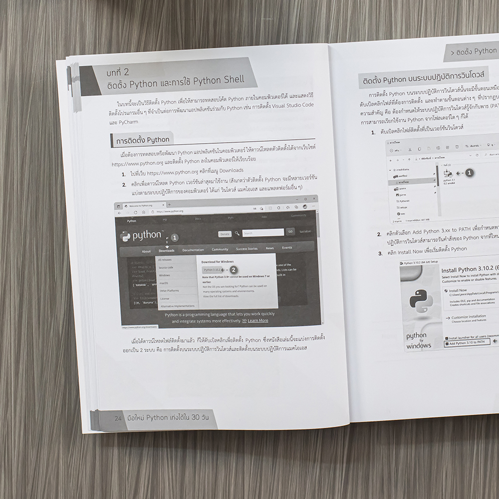 มือใหม่ Python เก่งได้ใน 30 วัน -- SERAZU ร้านหนังสือออนไลน์