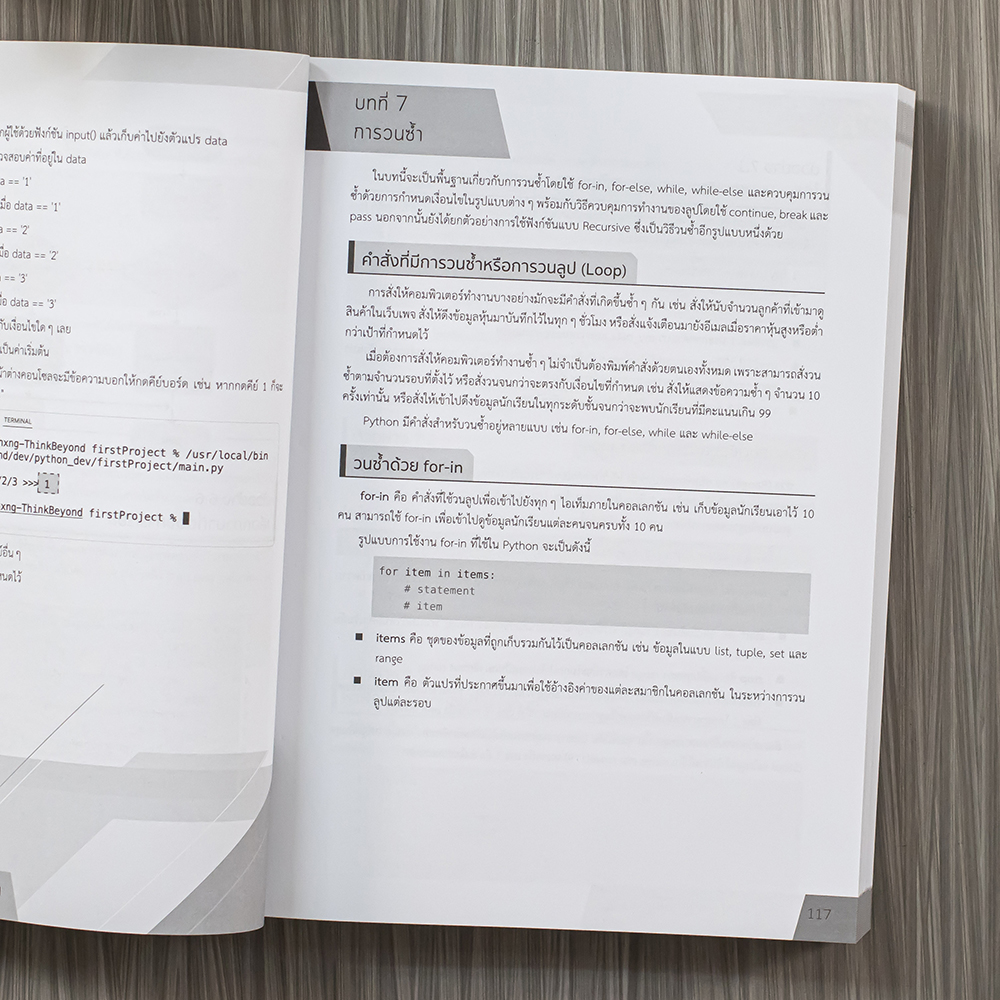 มือใหม่ Python เก่งได้ใน 30 วัน -- SERAZU ร้านหนังสือออนไลน์