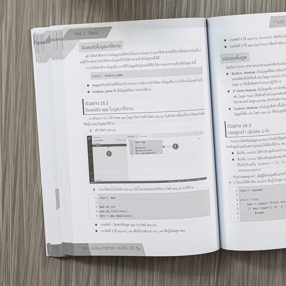 มือใหม่ Python เก่งได้ใน 30 วัน -- SERAZU ร้านหนังสือออนไลน์