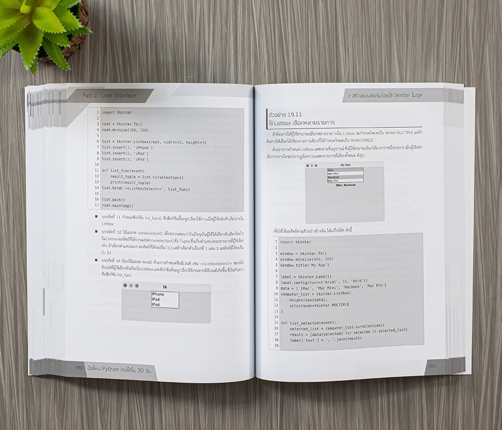 มือใหม่ Python เก่งได้ใน 30 วัน -- SERAZU ร้านหนังสือออนไลน์